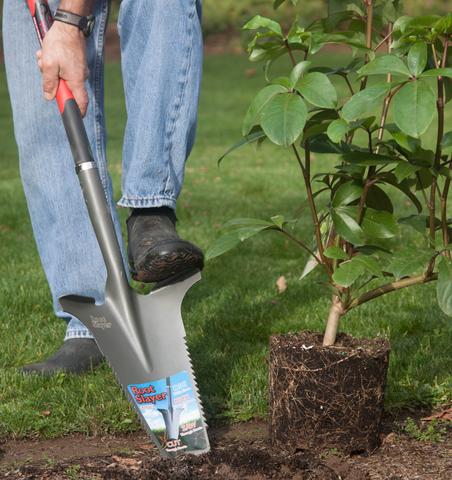 Root Slayer in Action – Radius Garden
