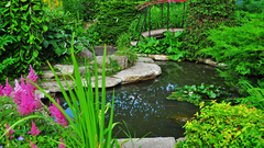 Basic Landscape Design Tips – Radius Garden